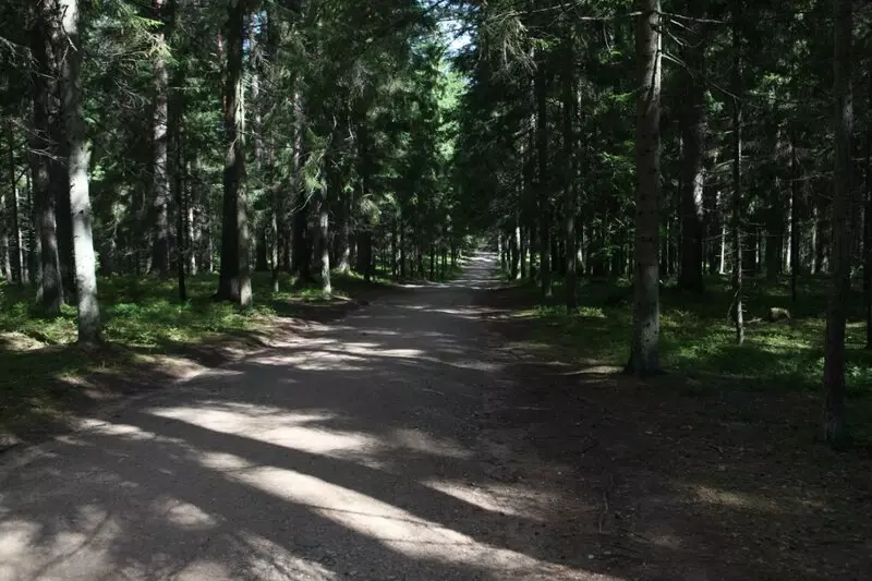 Pushkin Mountain - Mikhailovskoye