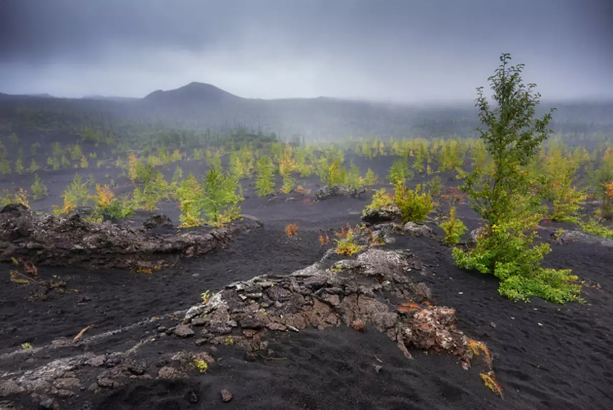 Fitsangatsanganana mankany Kamchatka 11831_12