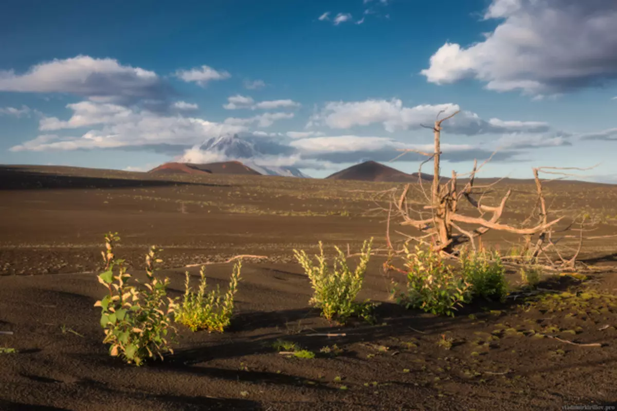 Journey to Kamchatka 11831_13