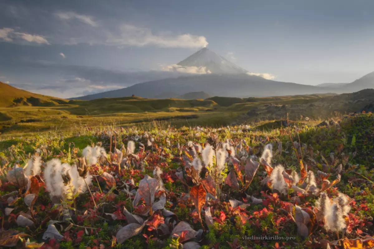 Kamchatka-ra egindako bidaia 11831_18