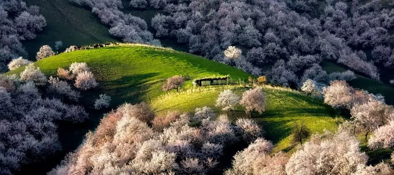 Blooming Ambrickos Valley: Tshiab Sightseeing ntawm Tuam Tshoj 11880_3