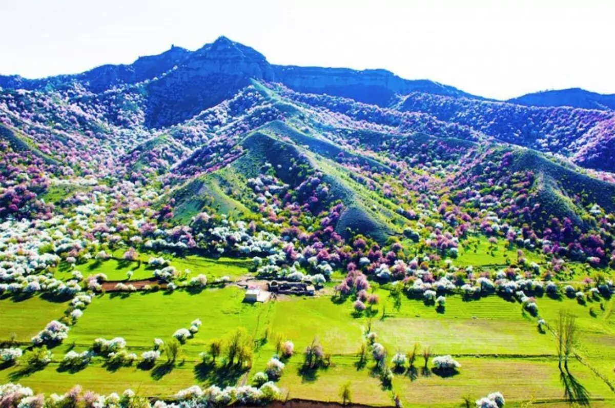 Blooming Ambrickos Valley: Tshiab Sightseeing ntawm Tuam Tshoj 11880_8