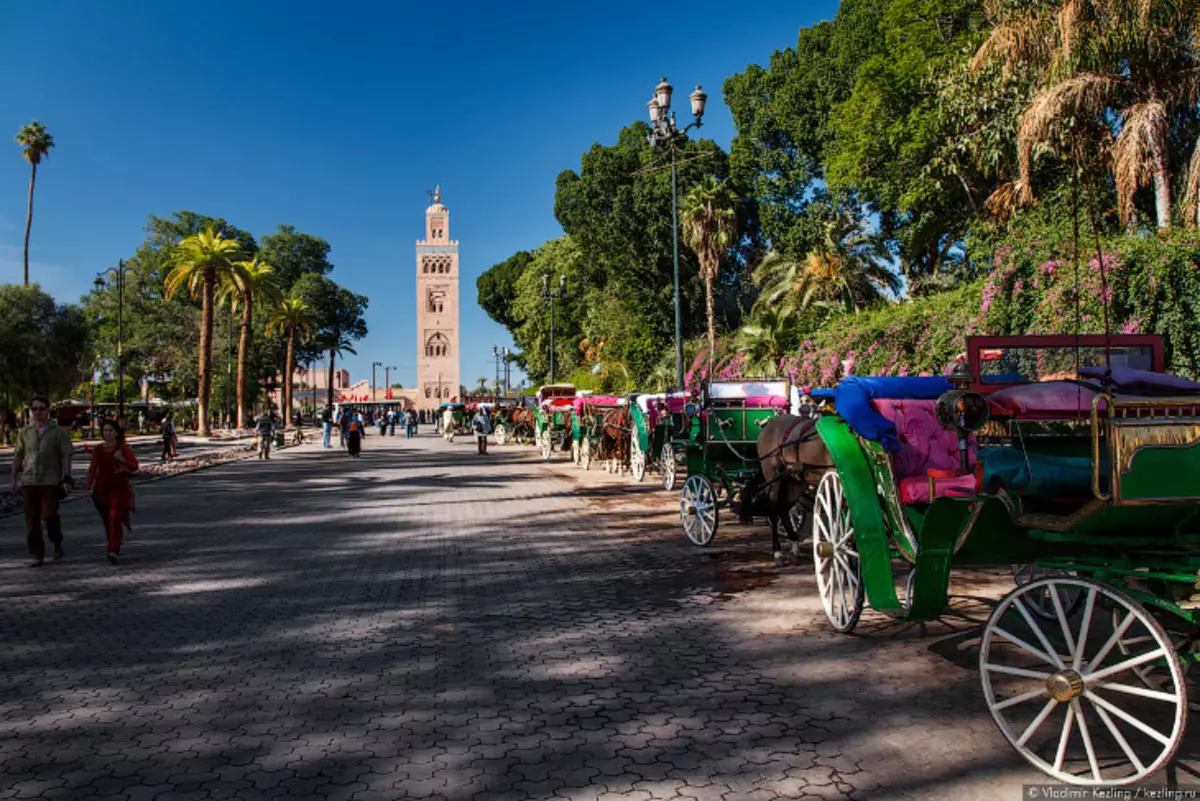 Marrakesh er ikke turist 11898_1