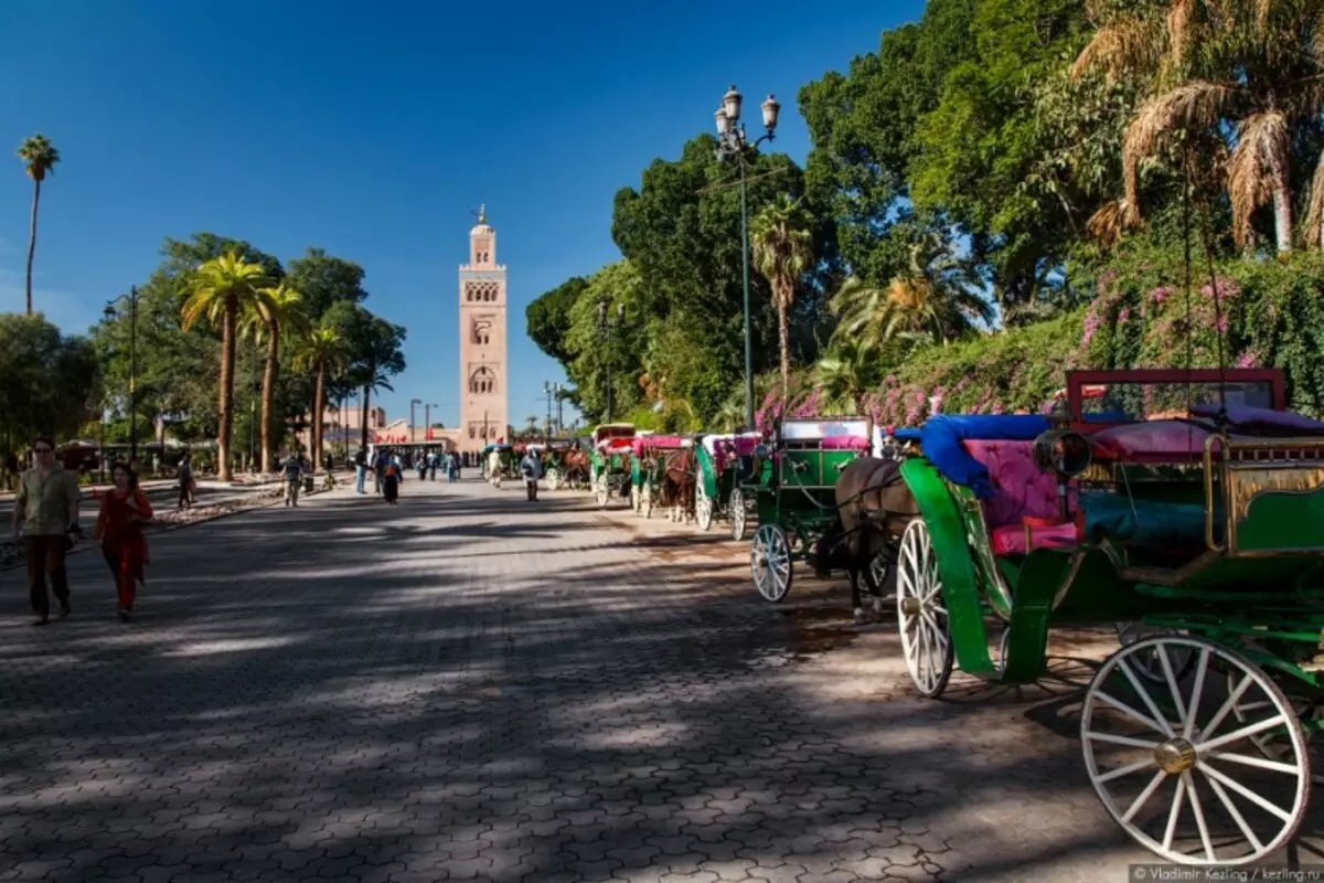 Marrakesh er ikke turist 11898_9