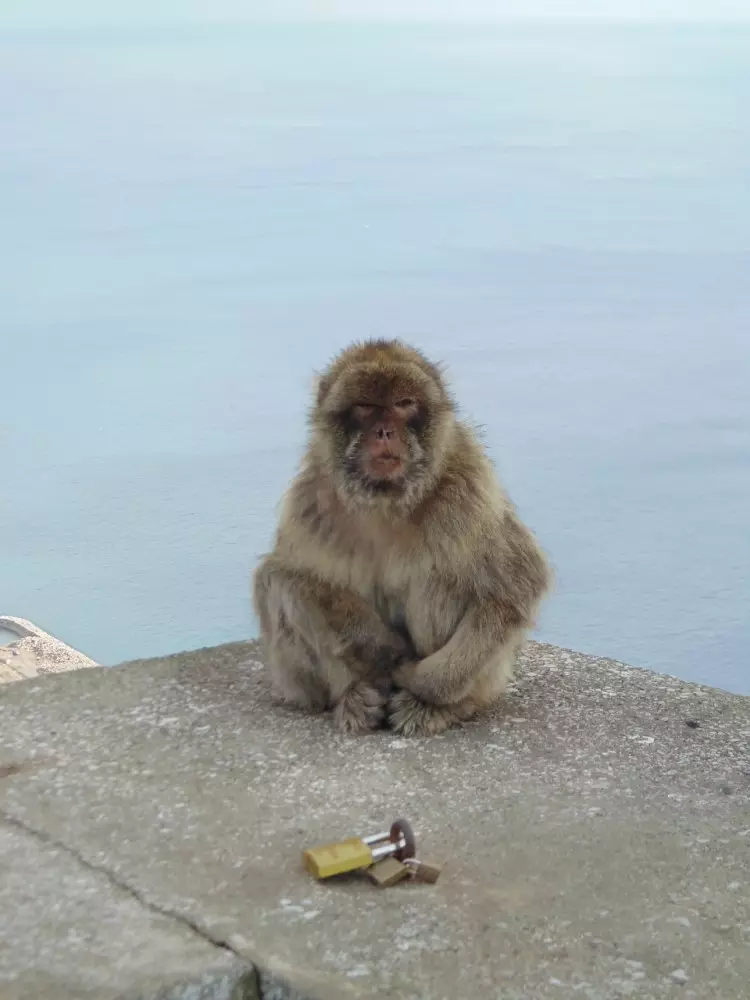 Gibraltar - Strait ak peyi nan yon sèl jou a 11980_23