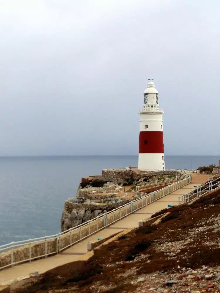 Gibraltar - Strait og land på en dag 11980_37