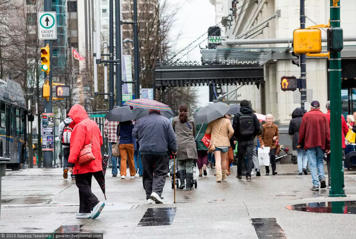 Véritable vancouver