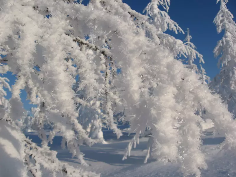 گزارش عکس درباره سفر به Yakutia 12267_20