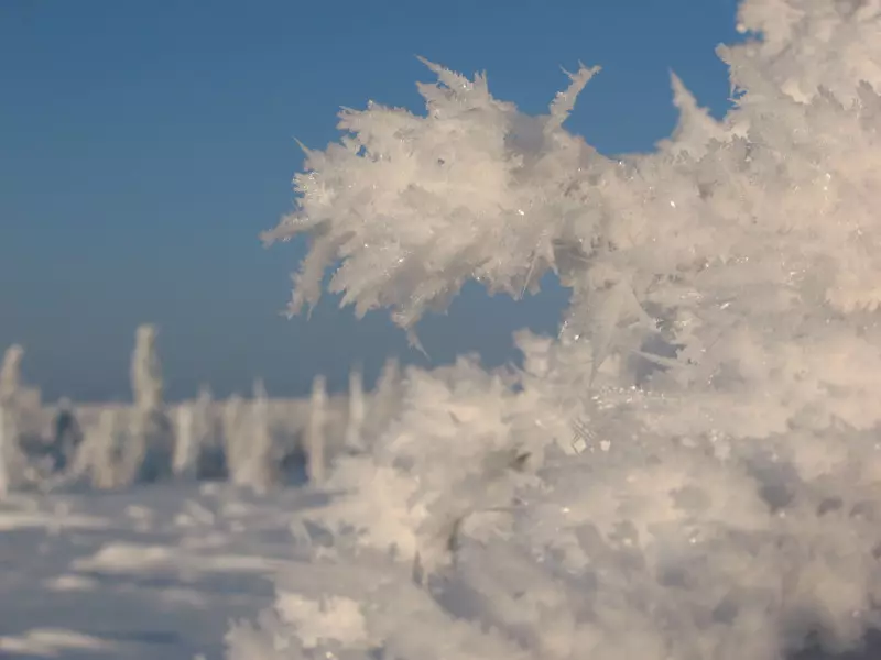 Wie wir als Republik Sakha (Yakutia) Sakha (Yakutia), Geodäsie, Arbeit gearbeitet haben