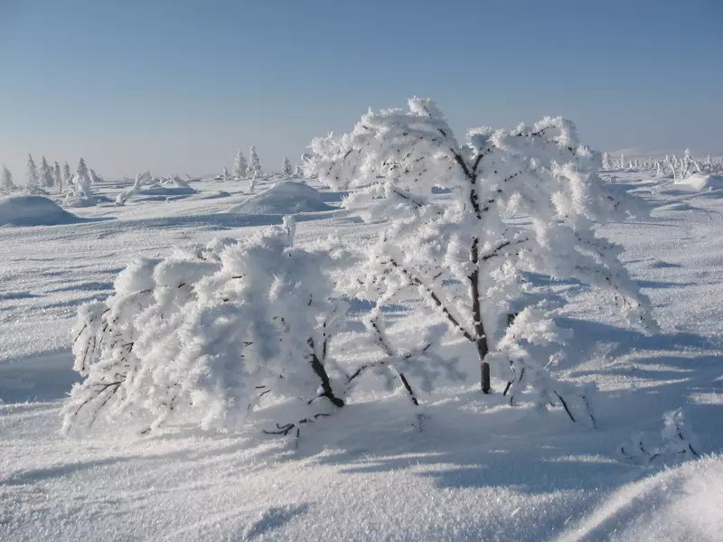 Kepiye kerajinan minangka Republik Sakha (Yakutia) Sakha (Yakutia), Geodesy, Work