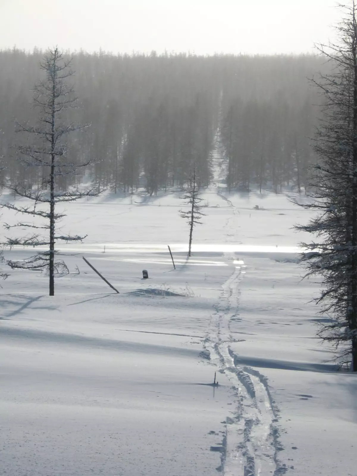 Wie wir als Republik Sakha (Yakutia) Sakha (Yakutia), Geodäsie, Arbeit gearbeitet haben