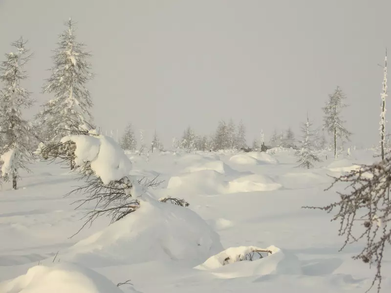 گزارش عکس درباره سفر به Yakutia 12267_9