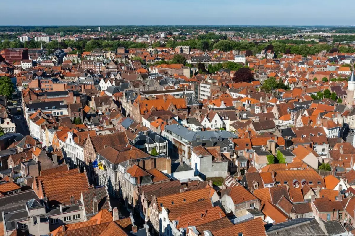 আরামদায়ক bruges (অনেক ছবি) 12317_44