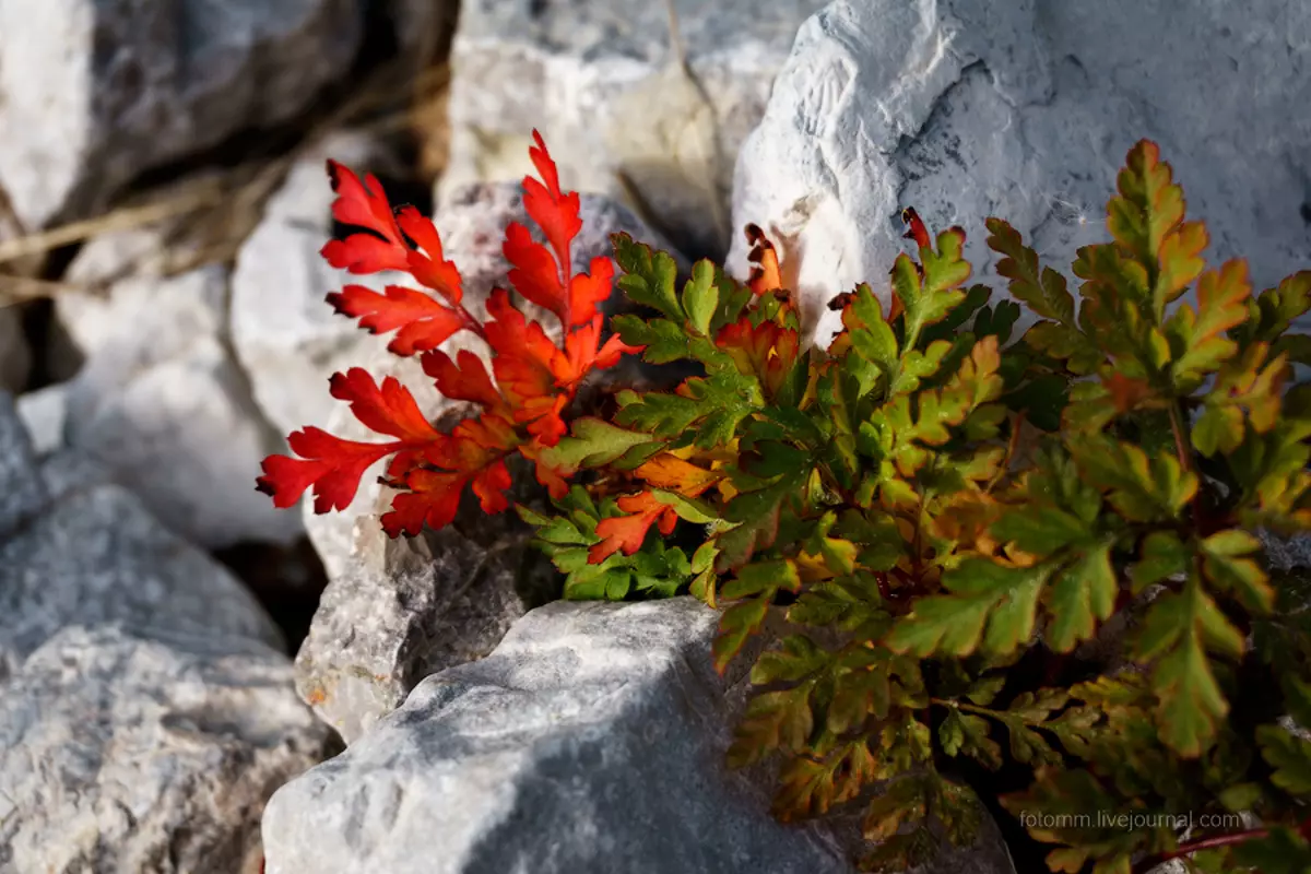 Hitchhiker en Albanio 12360_48