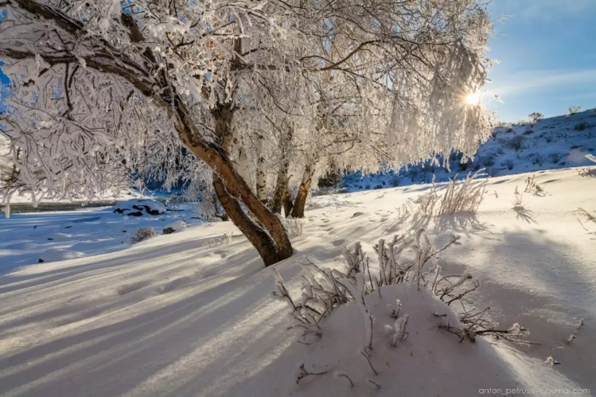 Visitare storie di Altai Winter 12361_14