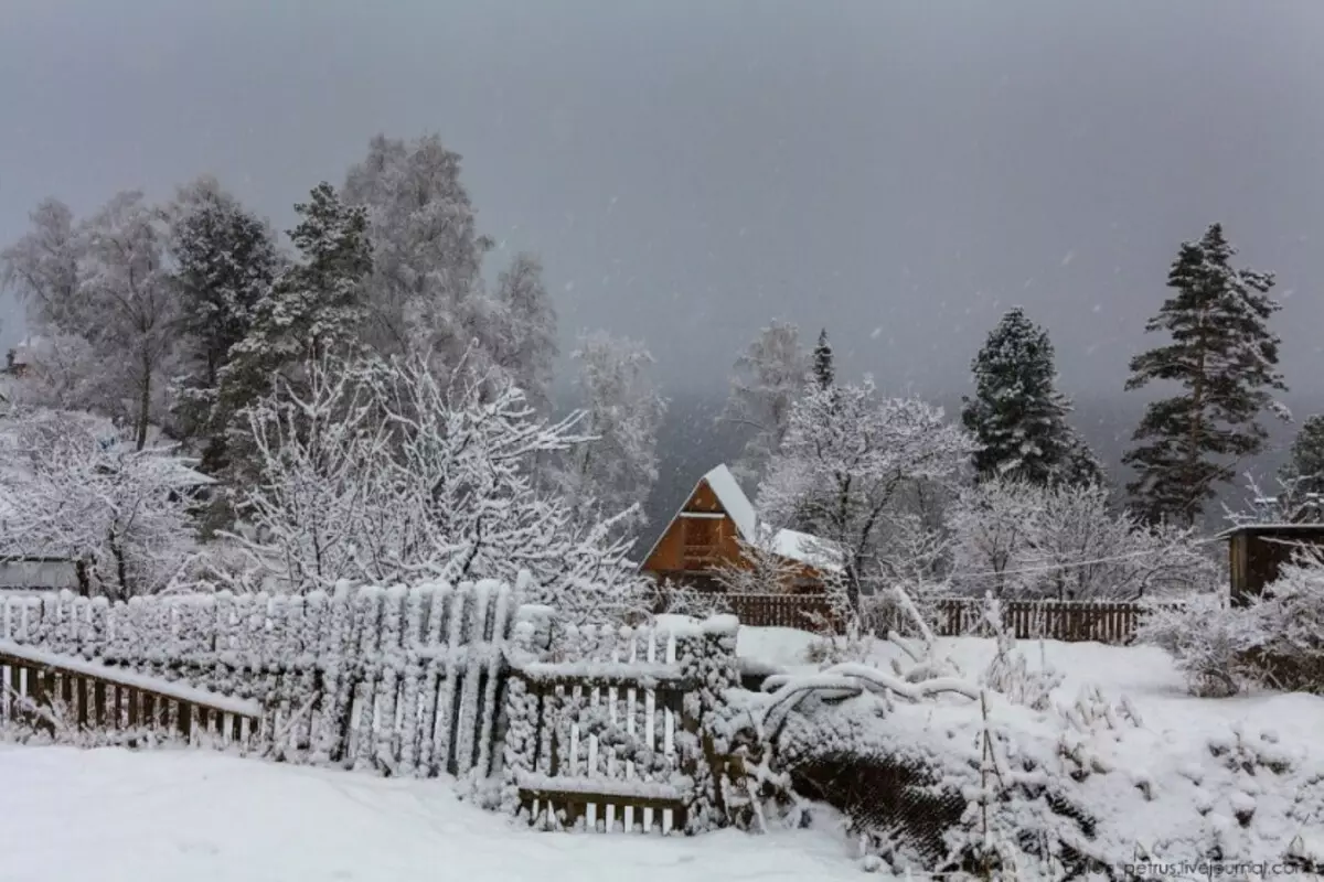 Külas Altai Winter Tales 12361_4