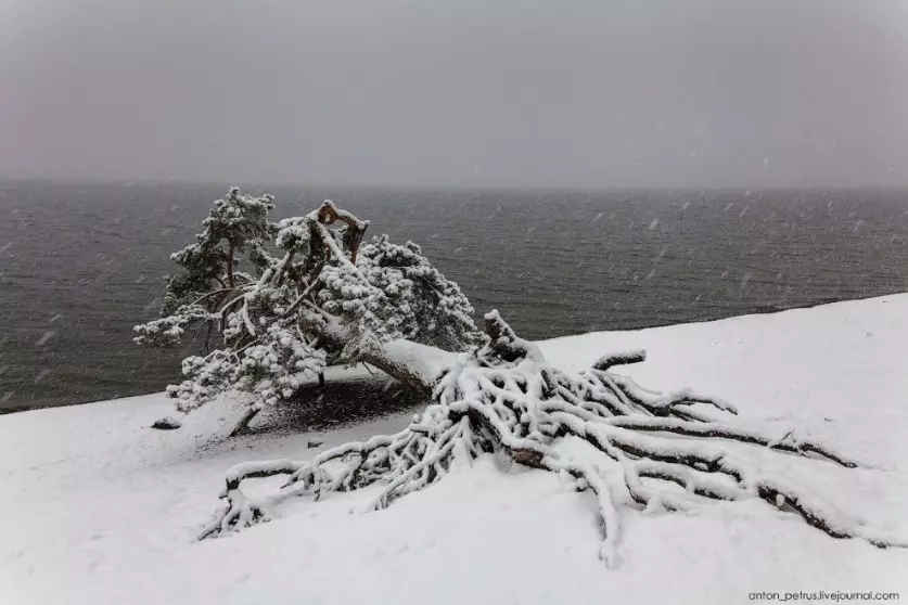 Visitar os contos de inverno de Altai 12361_5