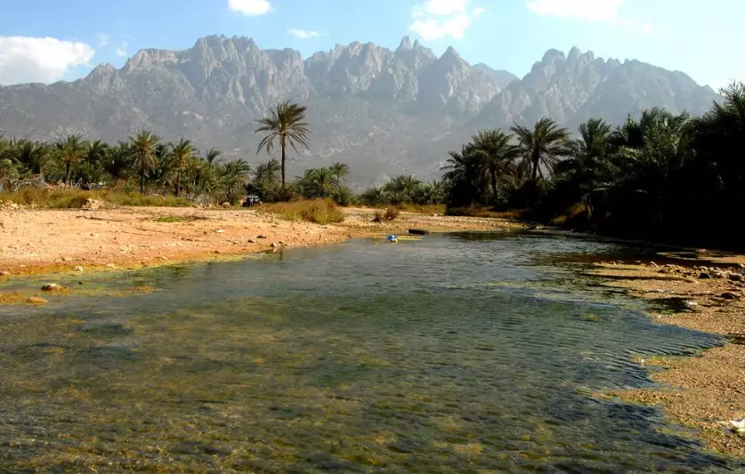 FAR SOCOTRA. 12371_17