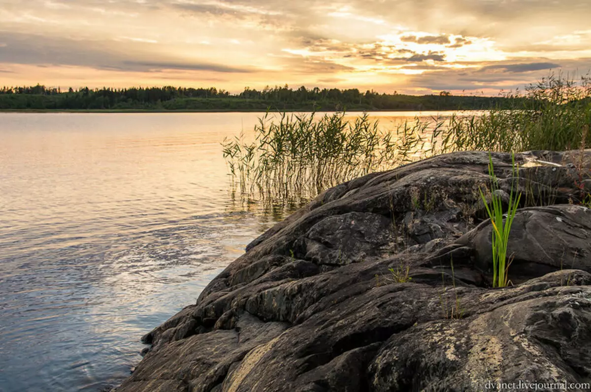 Katapusan sa semana sa Ladoga 12387_1