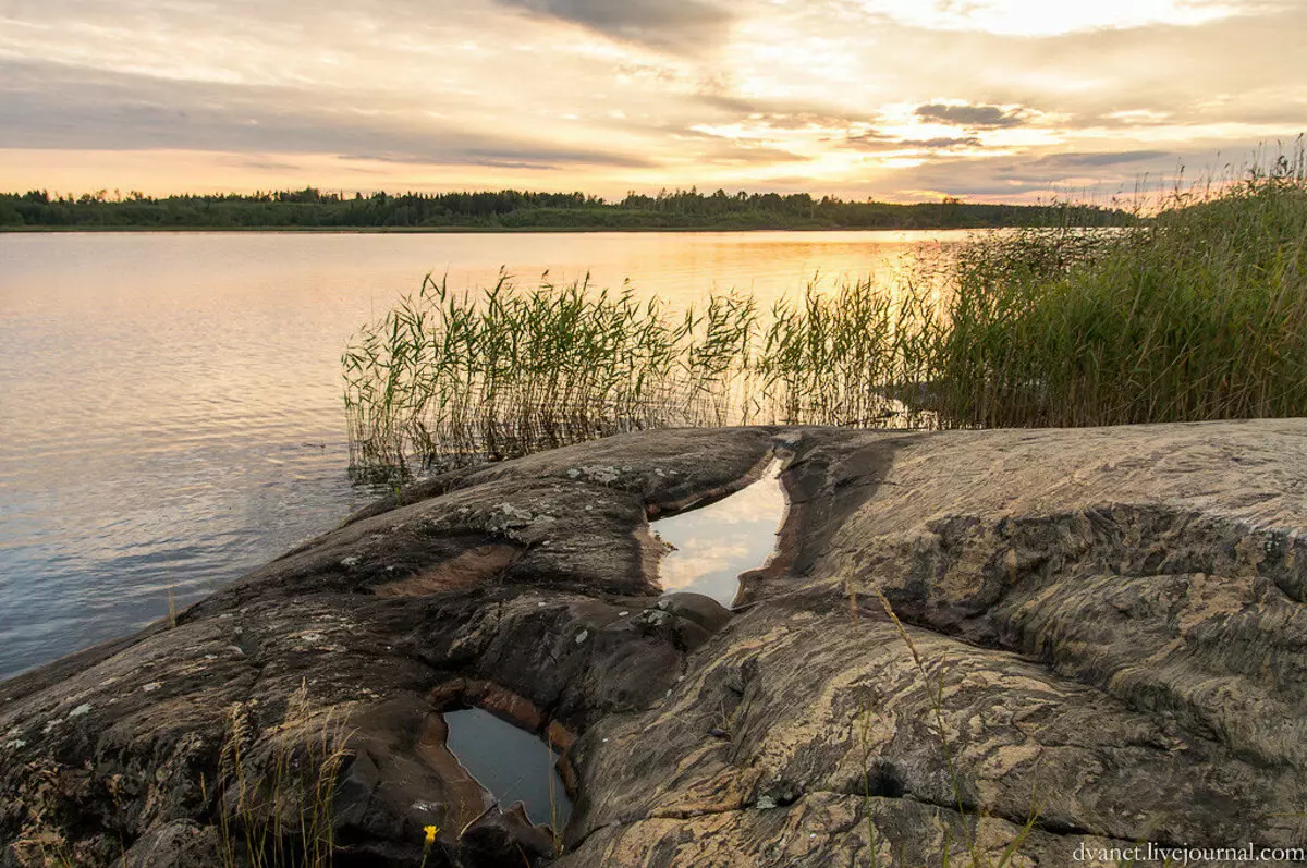 Katapusan sa semana sa Ladoga 12387_9