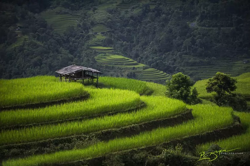 Vietnam menawan keindahan 12418_10