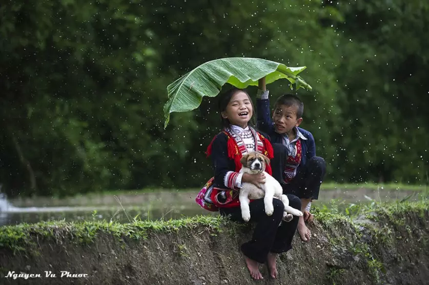 Vietnam bukurinë simpatik 12418_2