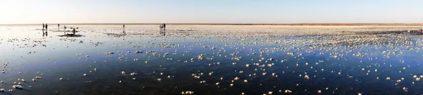 Helligdage på Lake Elton (Volgograd Region) 12504_13