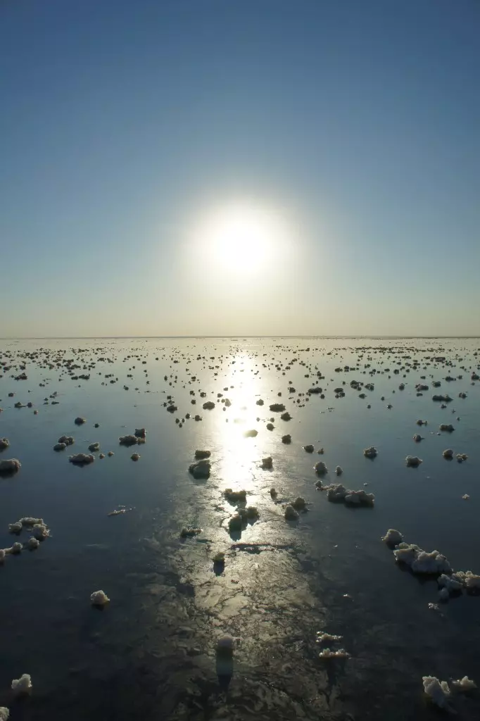 Fasaxyada Lake Elton (Gobolka Volgograd) 12504_17