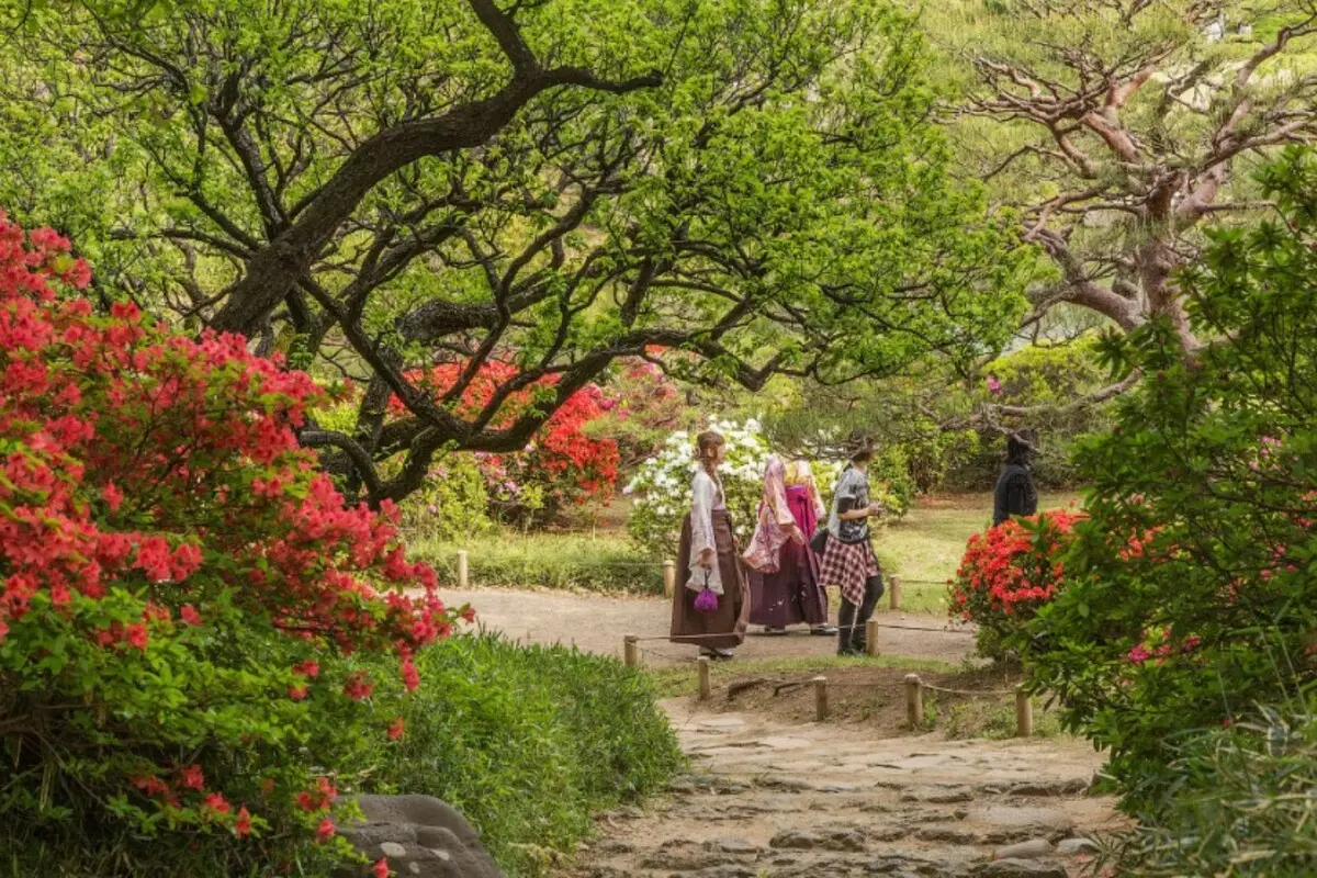 Excursie independentă în Japonia 12530_14