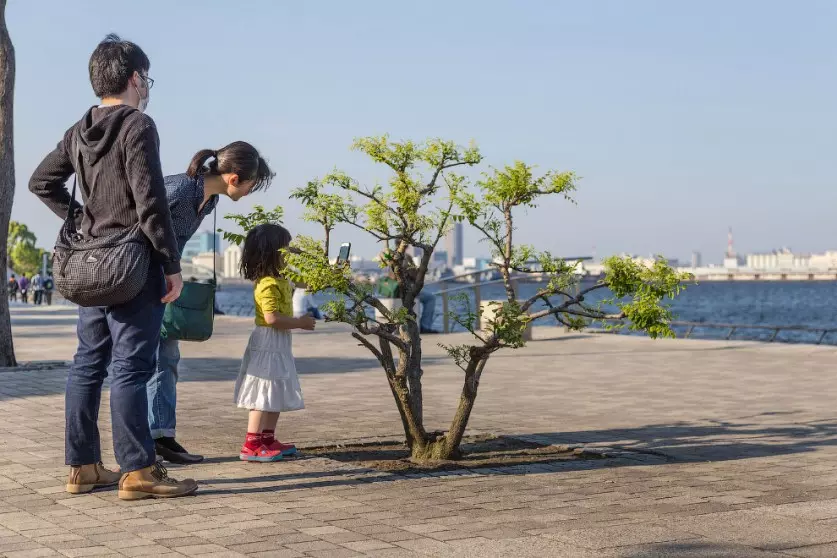 Excursie independentă în Japonia 12530_38