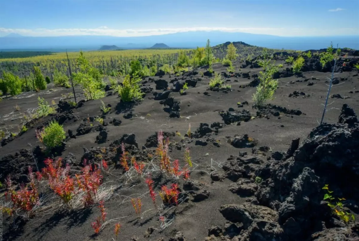 Tiga minggu di Kamchatka 12569_14