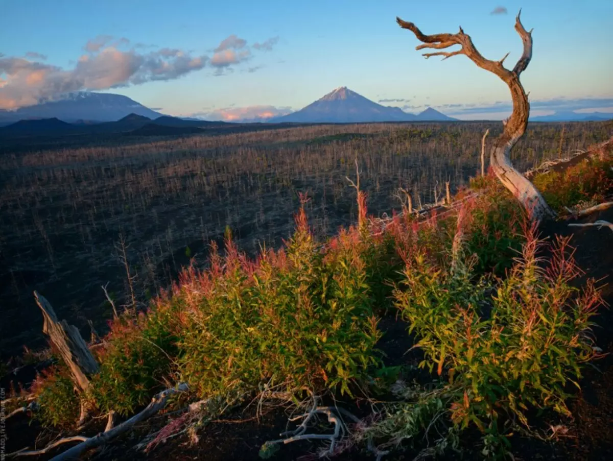 Tulo ka semana sa Kamchatka 12569_16