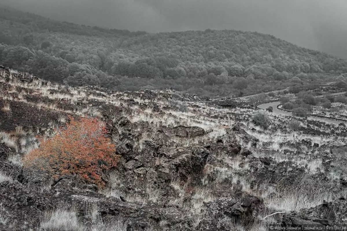 Laporan tentang perjalanan ke Volcano etna 12688_11