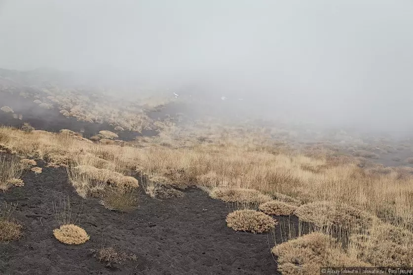 Laporan tentang perjalanan ke Volcano etna 12688_14