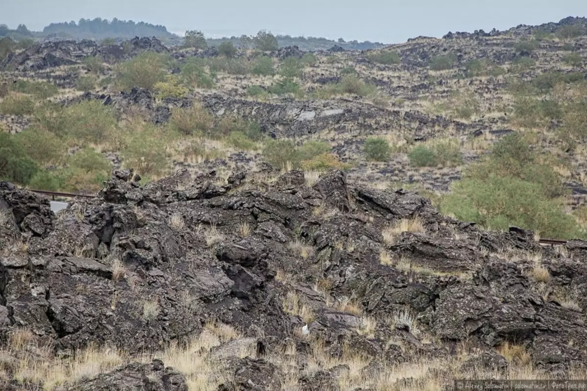 Laporan tentang perjalanan ke Volcano etna 12688_8