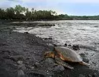 Las playas más peligrosas del mundo, donde el descanso puede terminar muy triste.