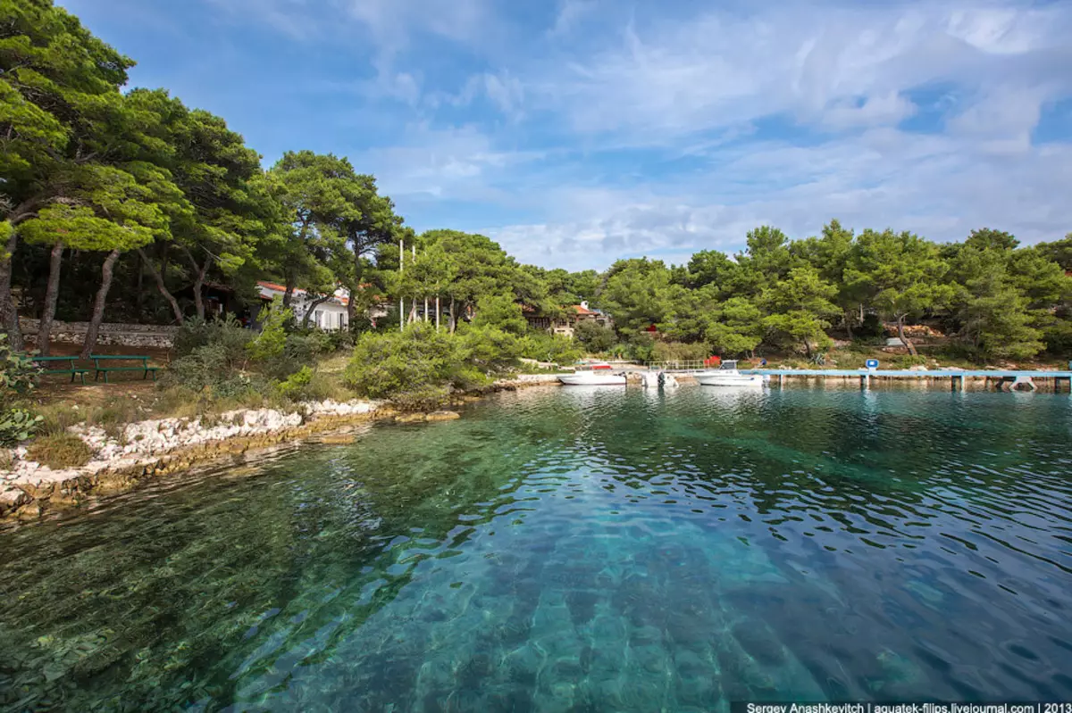 Yacht Marina en Croatie 1588_5