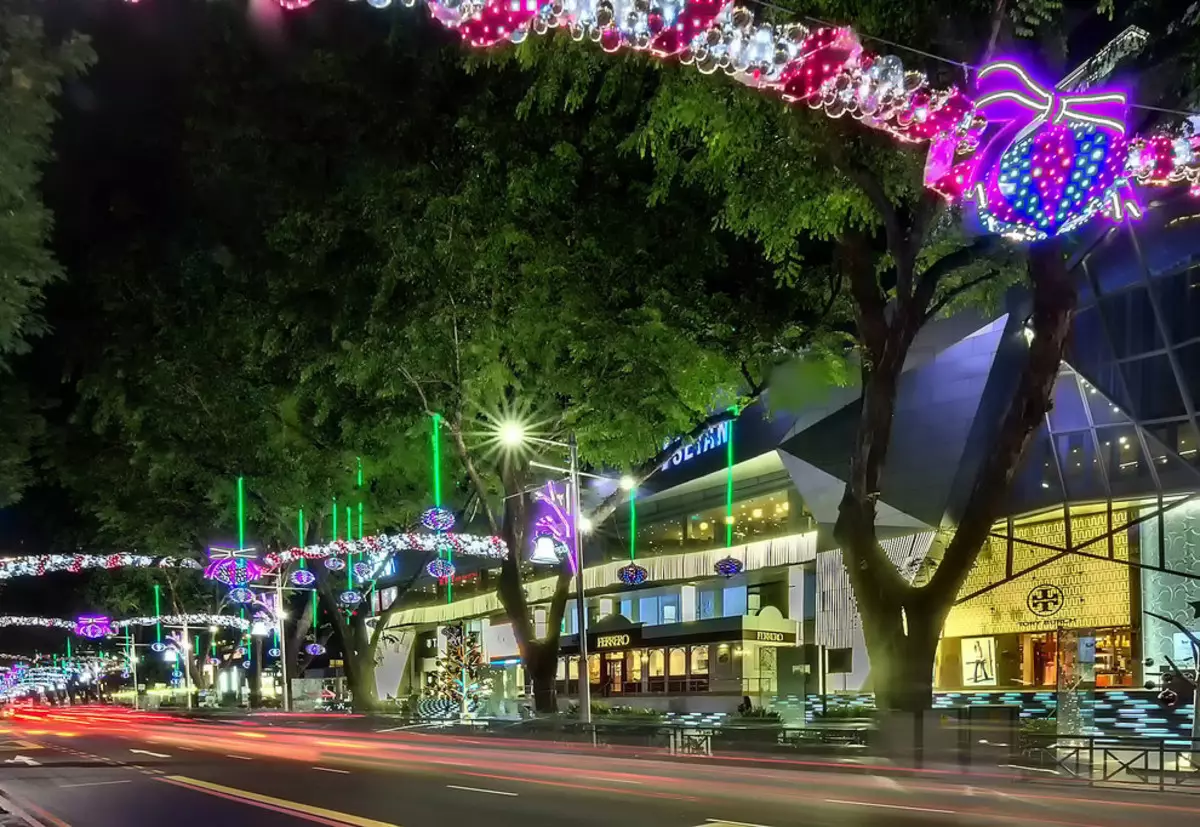 Singapur abans de Nadal 1713_9