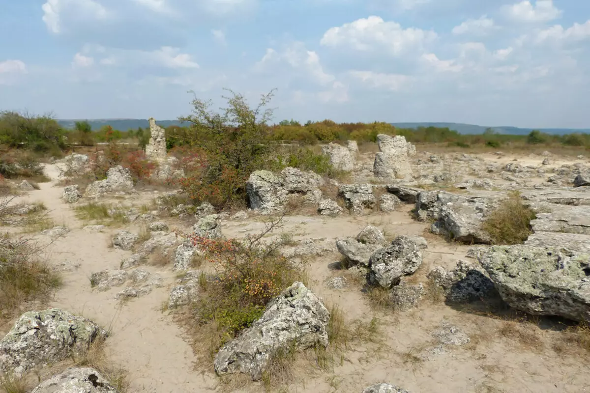 Bulgaria: Misitu ya Stone na Cape Kaliakra. 1795_11