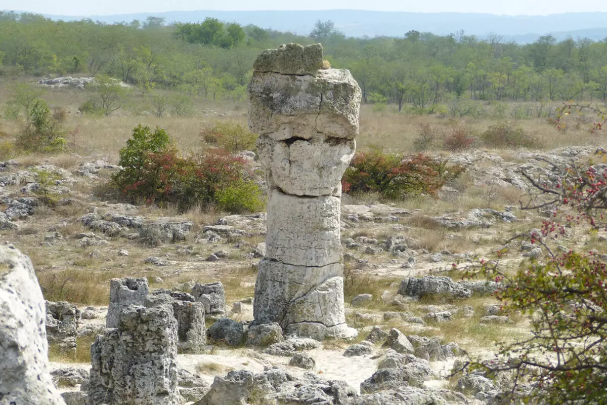 Bwlgaria: Coedwig Stone a Cape Kaliakra 1795_14