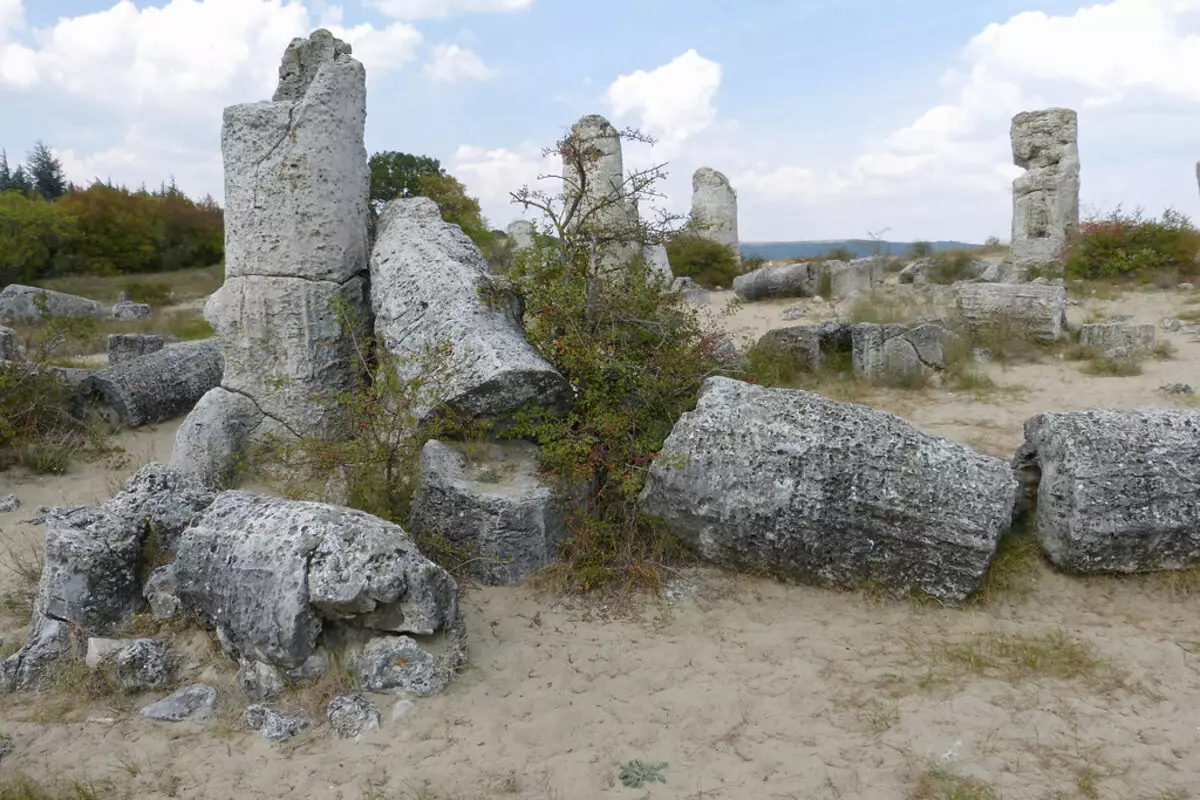 Bulgaria: foresta di pietra e Capo Kaliakra 1795_23