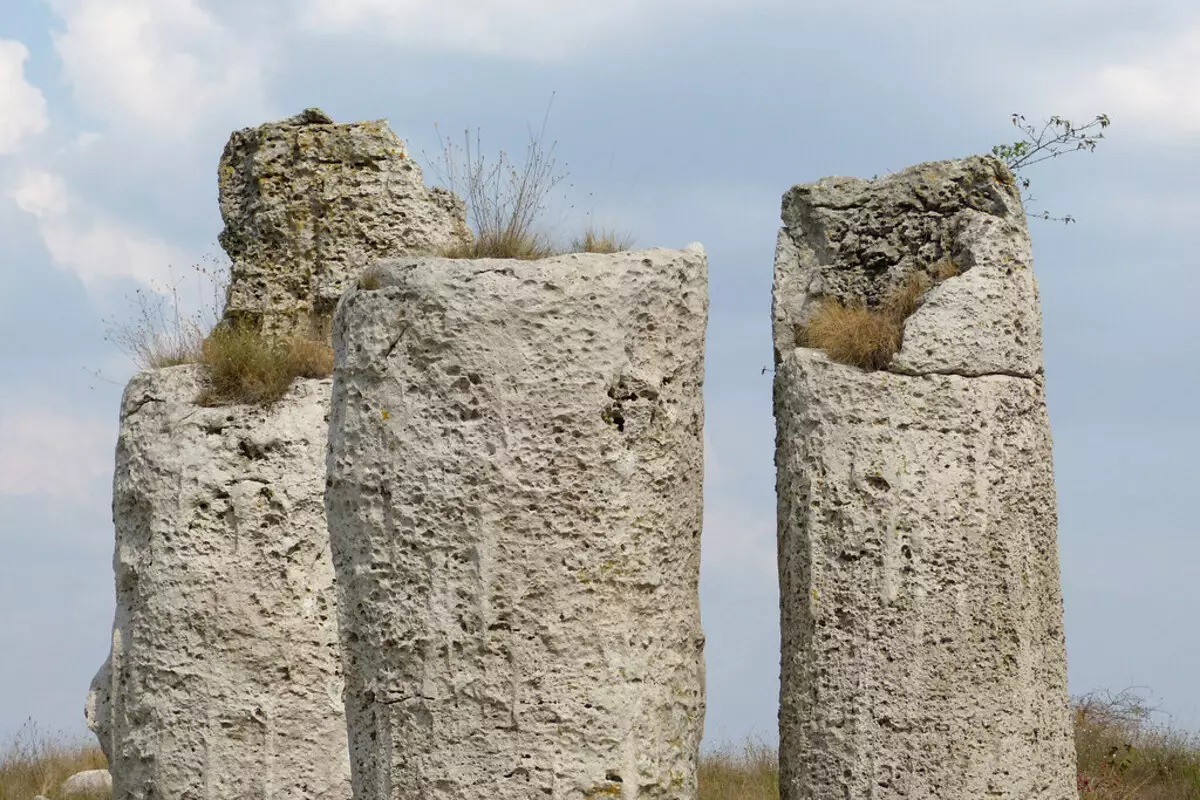 Bulgaria: Misitu ya Stone na Cape Kaliakra. 1795_24