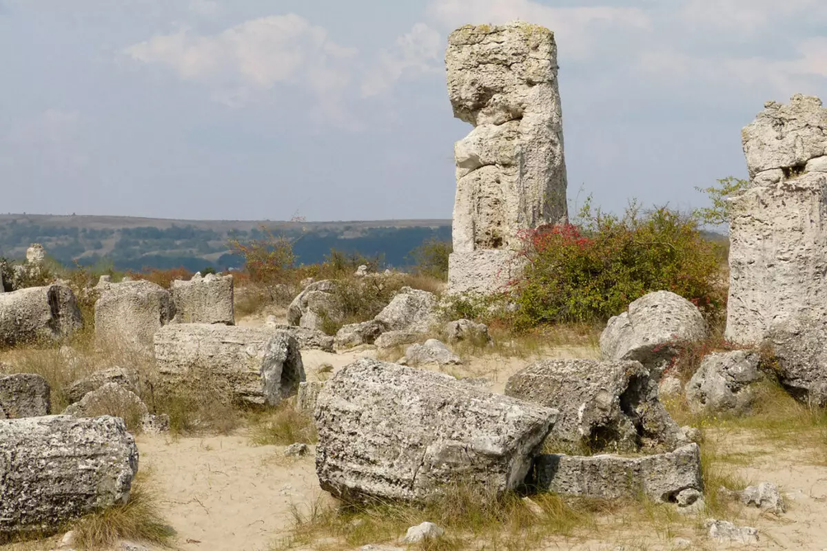 Bwlgaria: Coedwig Stone a Cape Kaliakra 1795_26