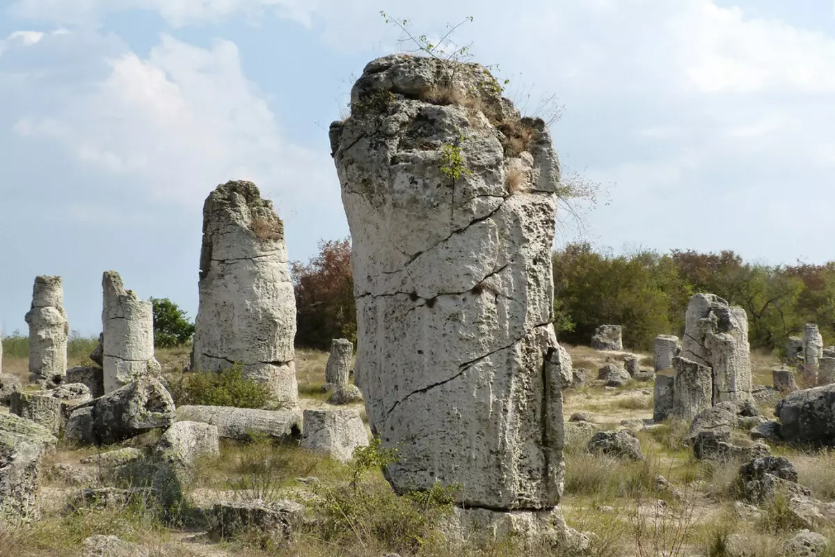 Bwlgaria: Coedwig Stone a Cape Kaliakra 1795_30