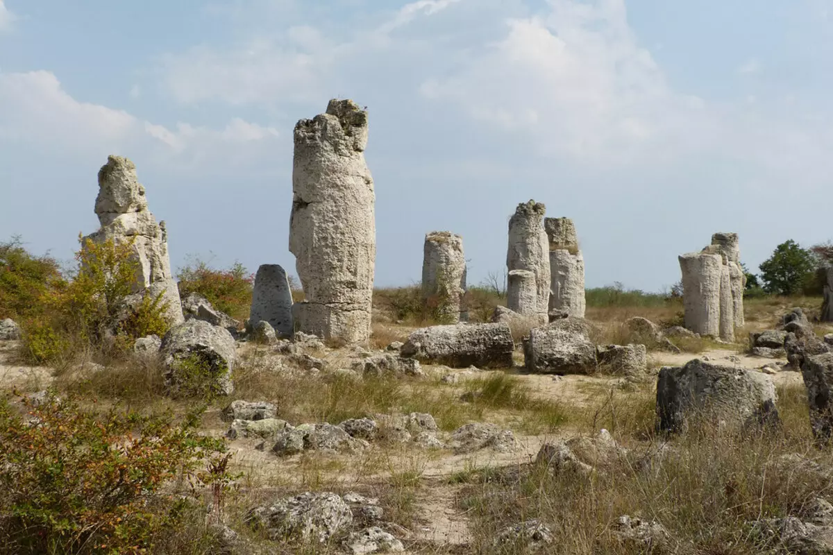 Bwlgaria: Coedwig Stone a Cape Kaliakra 1795_31