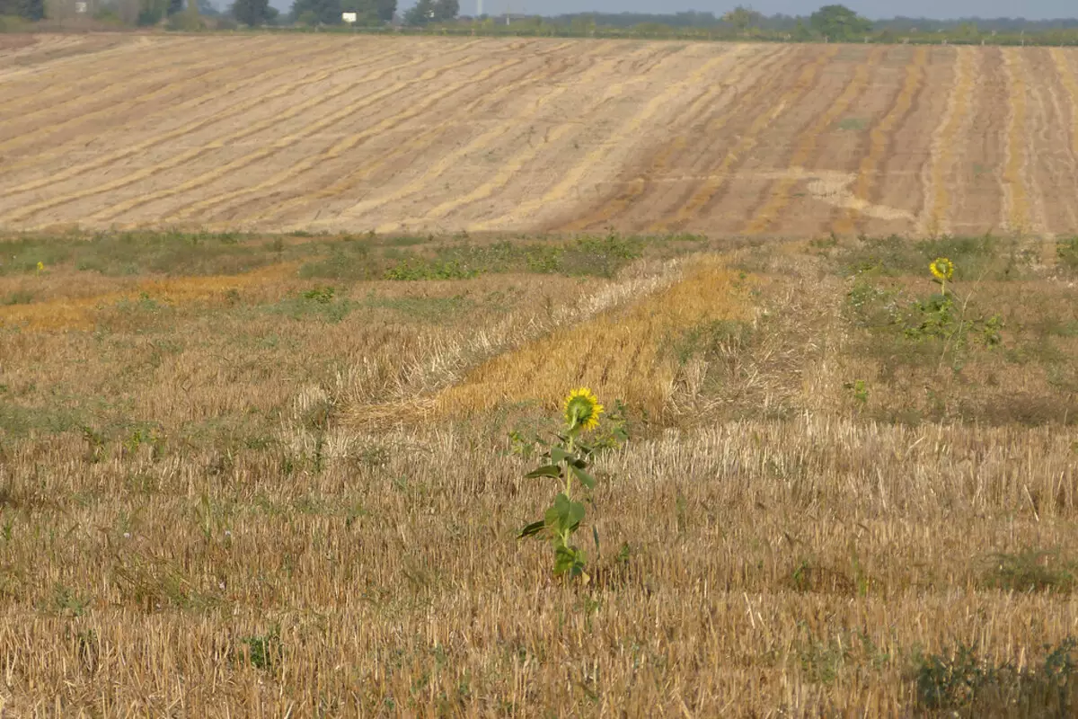 Bulgaria: foresta di pietra e Capo Kaliakra 1795_61