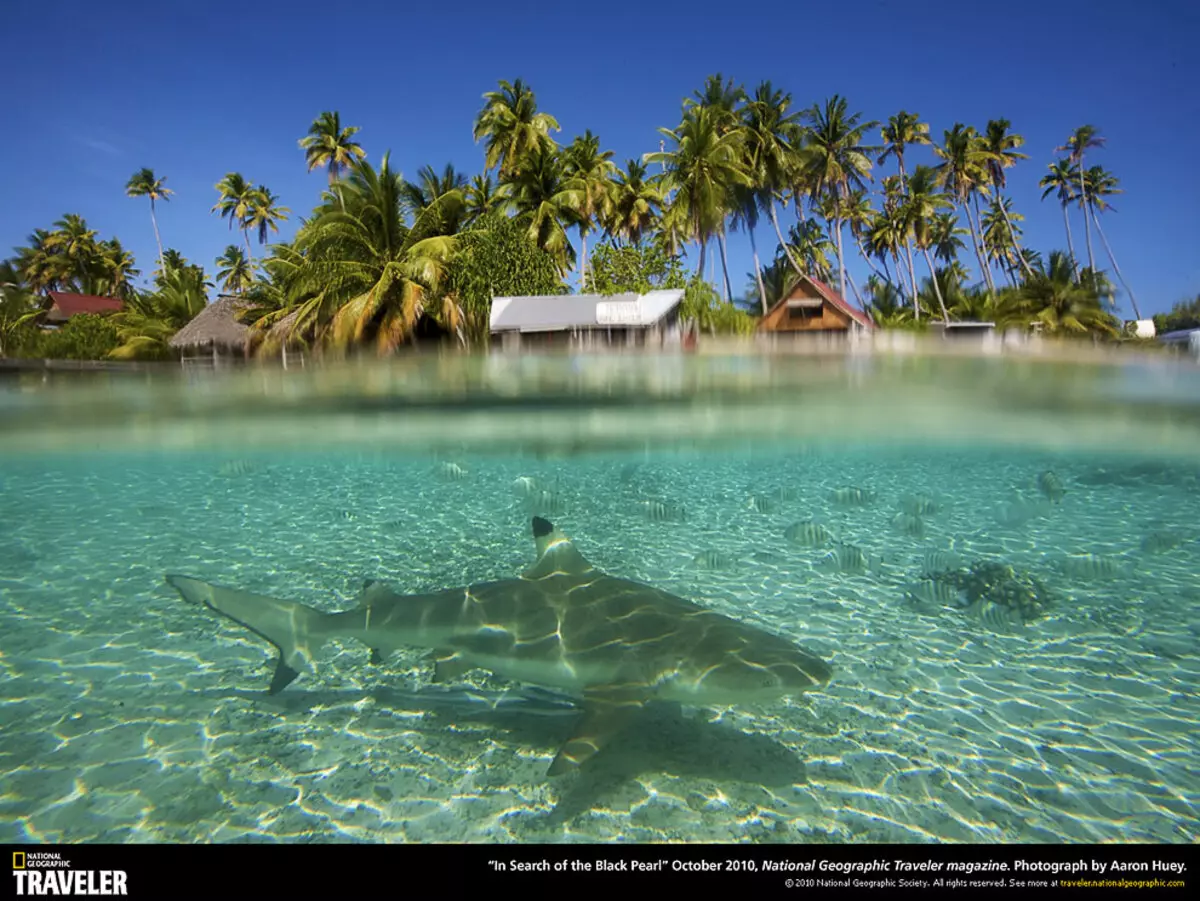 Resa med National Geographic