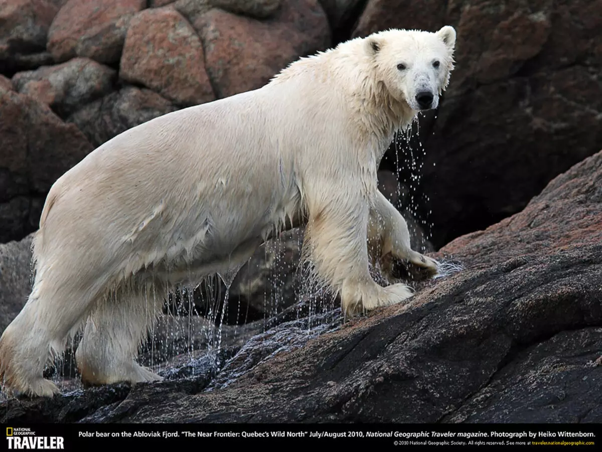 Resa med National Geographic