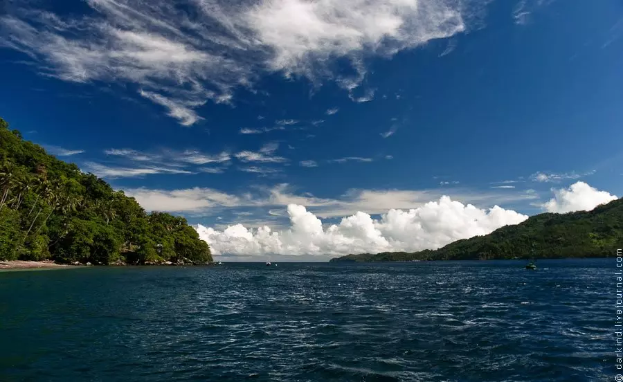 Xaraashka biyaha hoostiisa ee xayawaannada la yaabka leh ee ku saabsan. Sulawesi, Indonesia