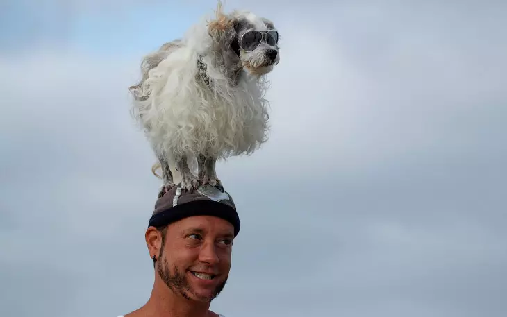 Surfing Dog en California 2019 1951_1